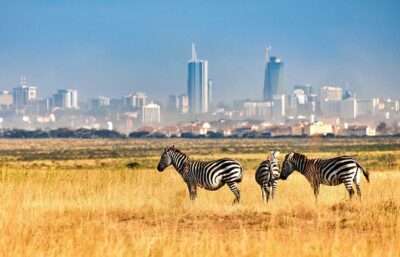 1-Day Nairobi city tour Safari | Explore Kenya's Capital